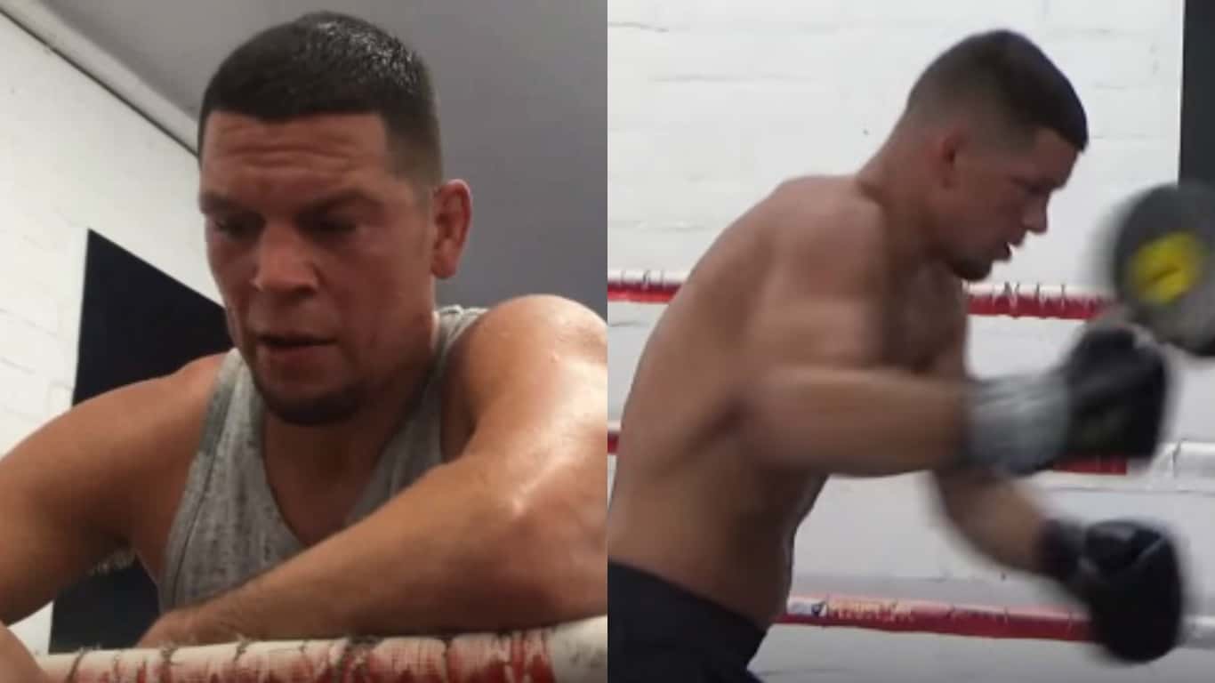 WATCH: Nate Diaz's Latest Training Video Has Conor McGregor Fans Sweating