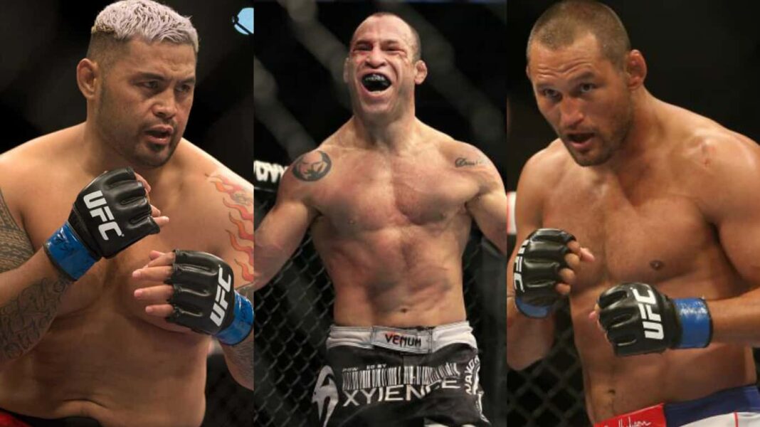 Top Ten Hardest Hitters in MMA History