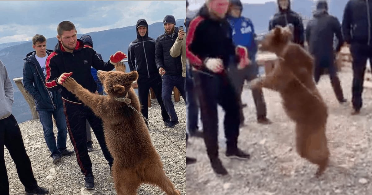 WATCH: Khabib Attracts Fury After Baiting Chained Bear