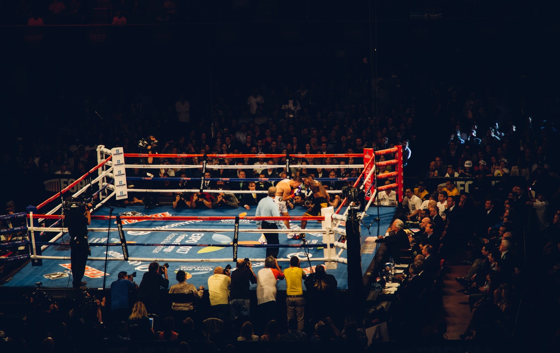 The Most Spectacular Combat Sports